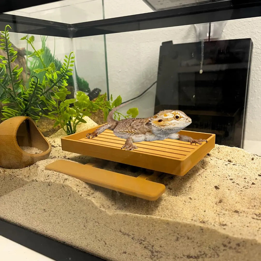 Terrarium Picnic Table | Made in USA for Reptile Habitats– Apollo